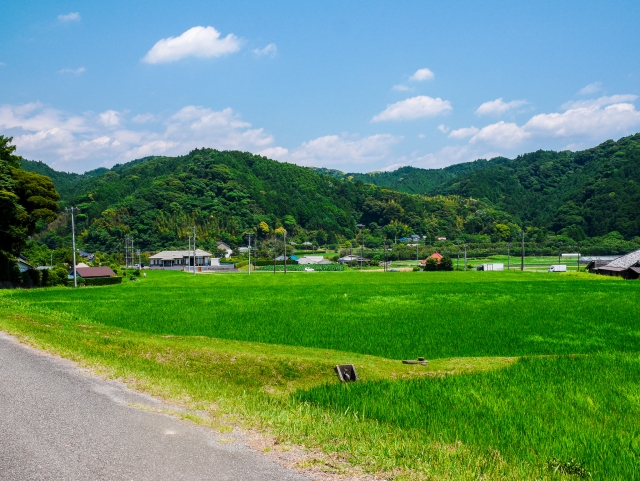 Celestial Method: A Heartfelt Journey of Friendship, Wishes, and ...